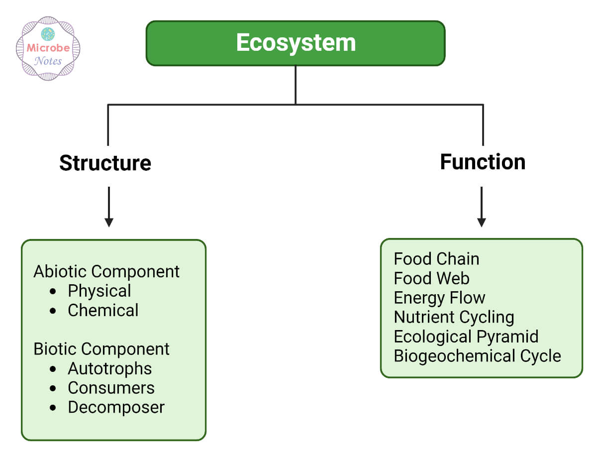 Ecosystem- Definition, Structure, Factors, Types, Functions